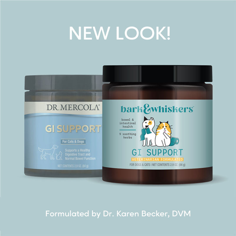 Dr. Mercola | Bark & Whiskers™ GI Support for Cats and Dogs (84g ...