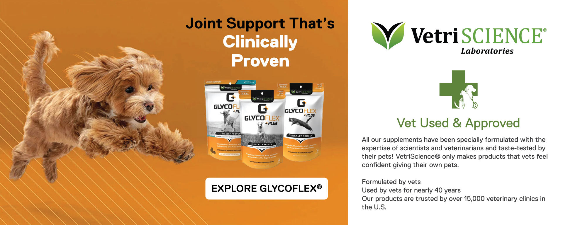 Furry Planet - For Pet Wellness And Longevity In Singapore